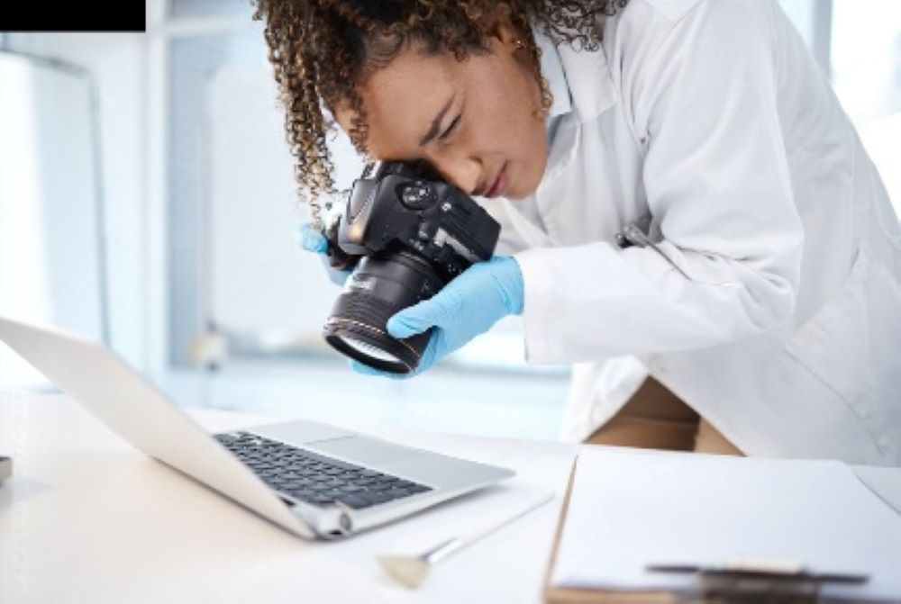 What Degree Do I Need For a Career in the Cybersecurity Industry ...